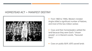 Welcoming Wolves Back Home and the Effects of Manifest Destiny | PPTX