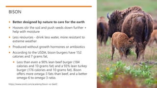 Welcoming Wolves Back Home and the Effects of Manifest Destiny | PPT