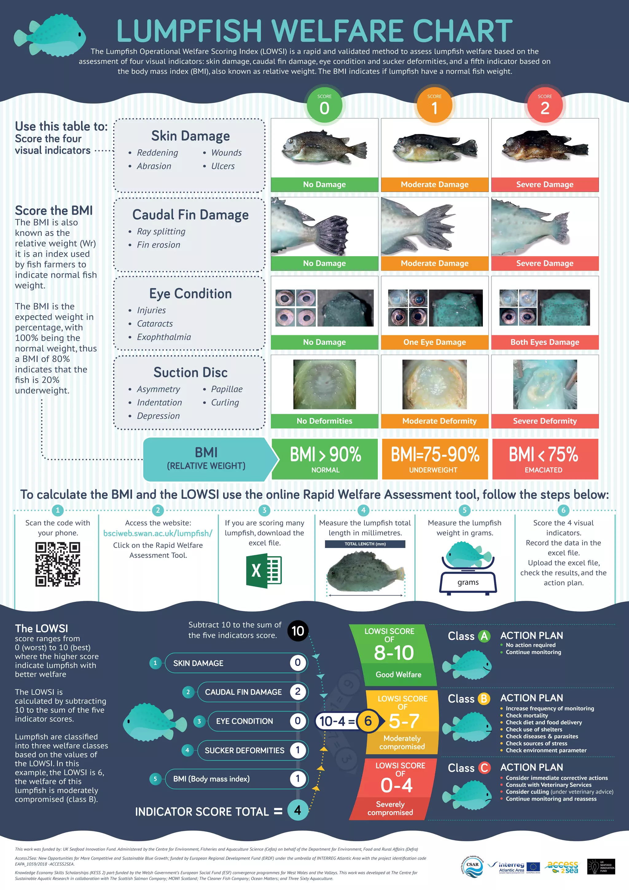 Lumpfish Welfare Chart job aid | PDF