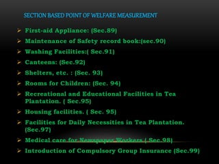 Welfare measures of worker | PPT