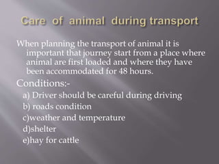 Welfare of animal during transport | PPTX
