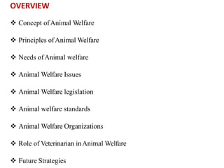 welfare of animals.pptx