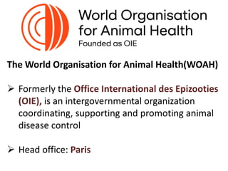 welfare of animals.pptx