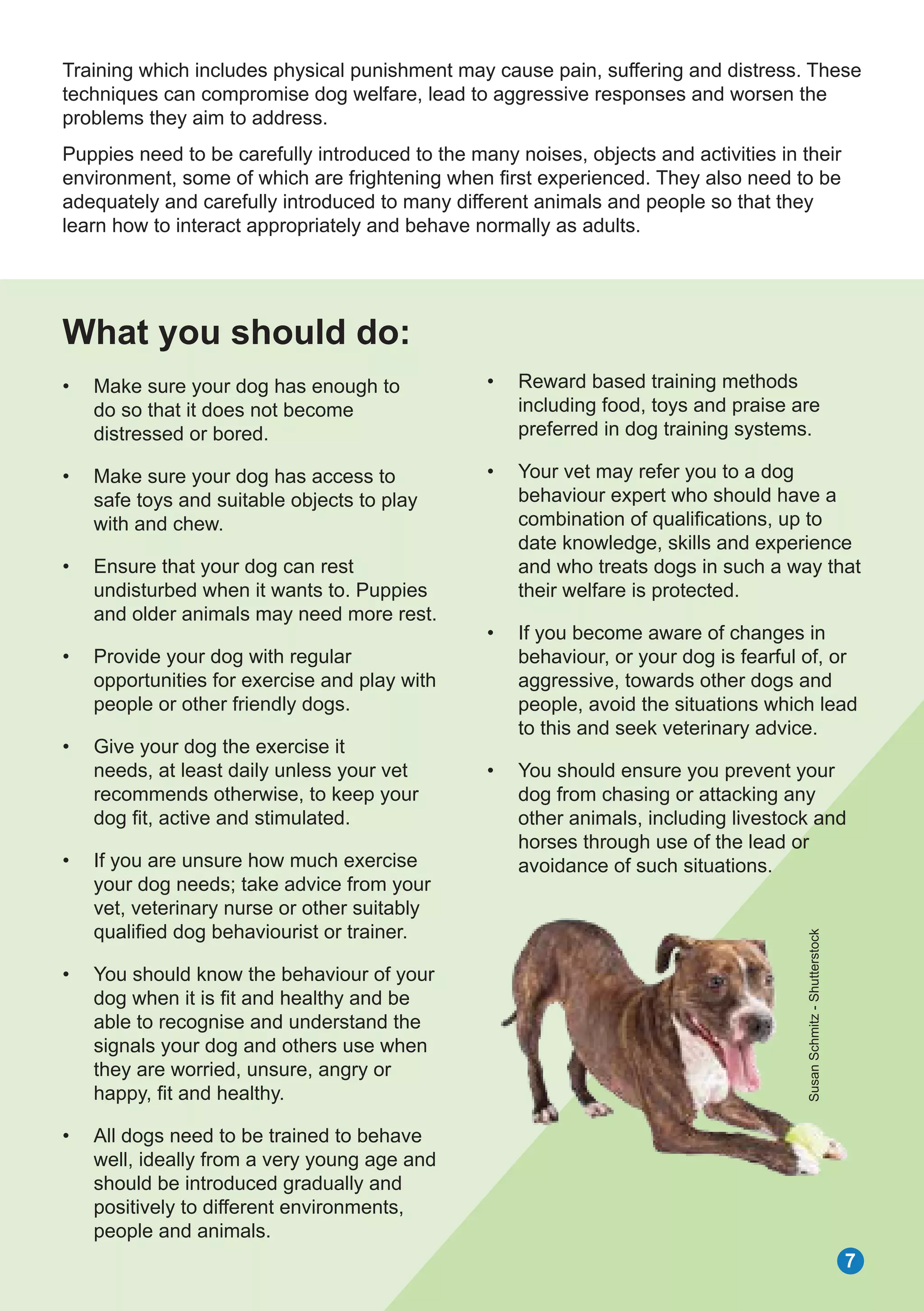 Welfare of dogs act information | PDF