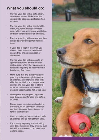 Welfare of dogs act information | PDF