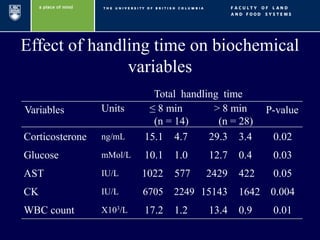 Welfare of emus during their handling and transport | PPTX