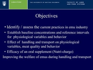 Welfare of emus during their handling and transport | PPTX