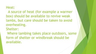 Welfare of sheep . | PPTX