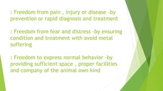 Welfare of sheep . | PPT