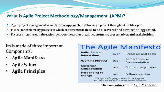 Welingkar First Year Project- ProjectWeLike | PPTX | Computing | Technology & Computing