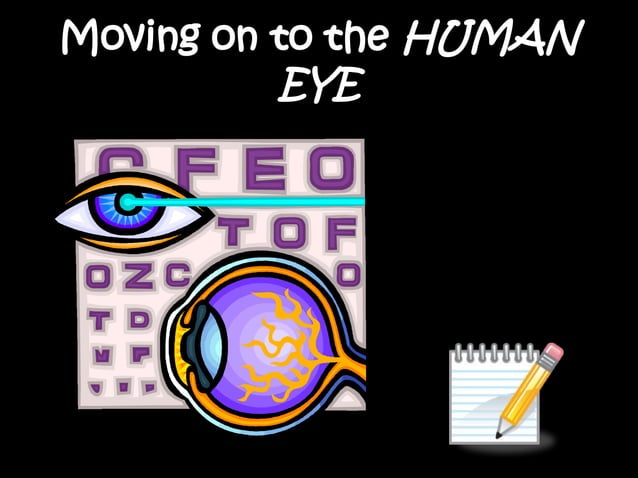 ROY_G_BIV.ppt Electronic spectrum wavelength | PPT