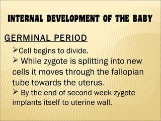 Well born baby | PPT