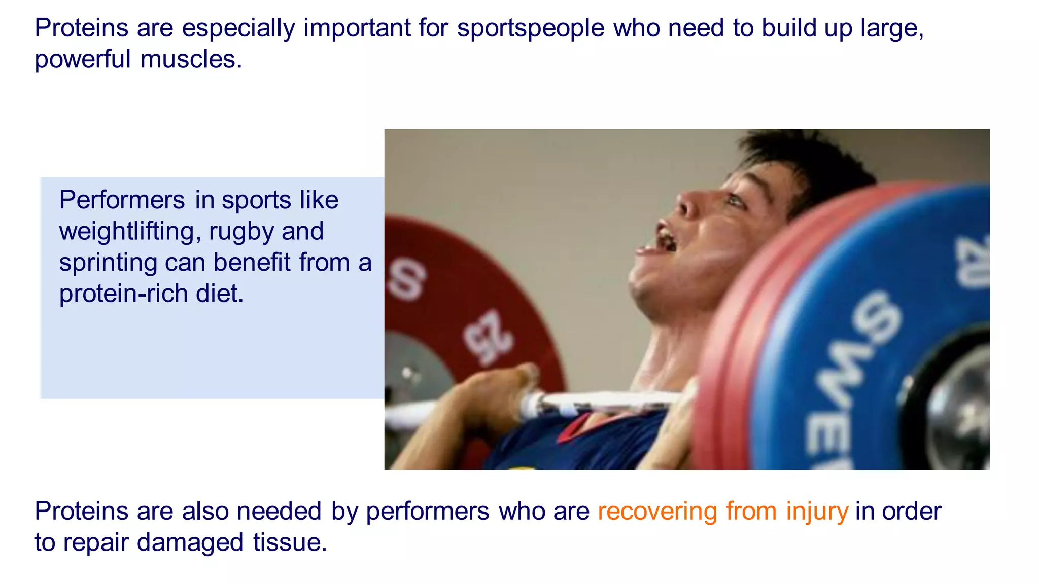 PHYSICAL EDUCATION 11 - Diet and Nutrition | PDF