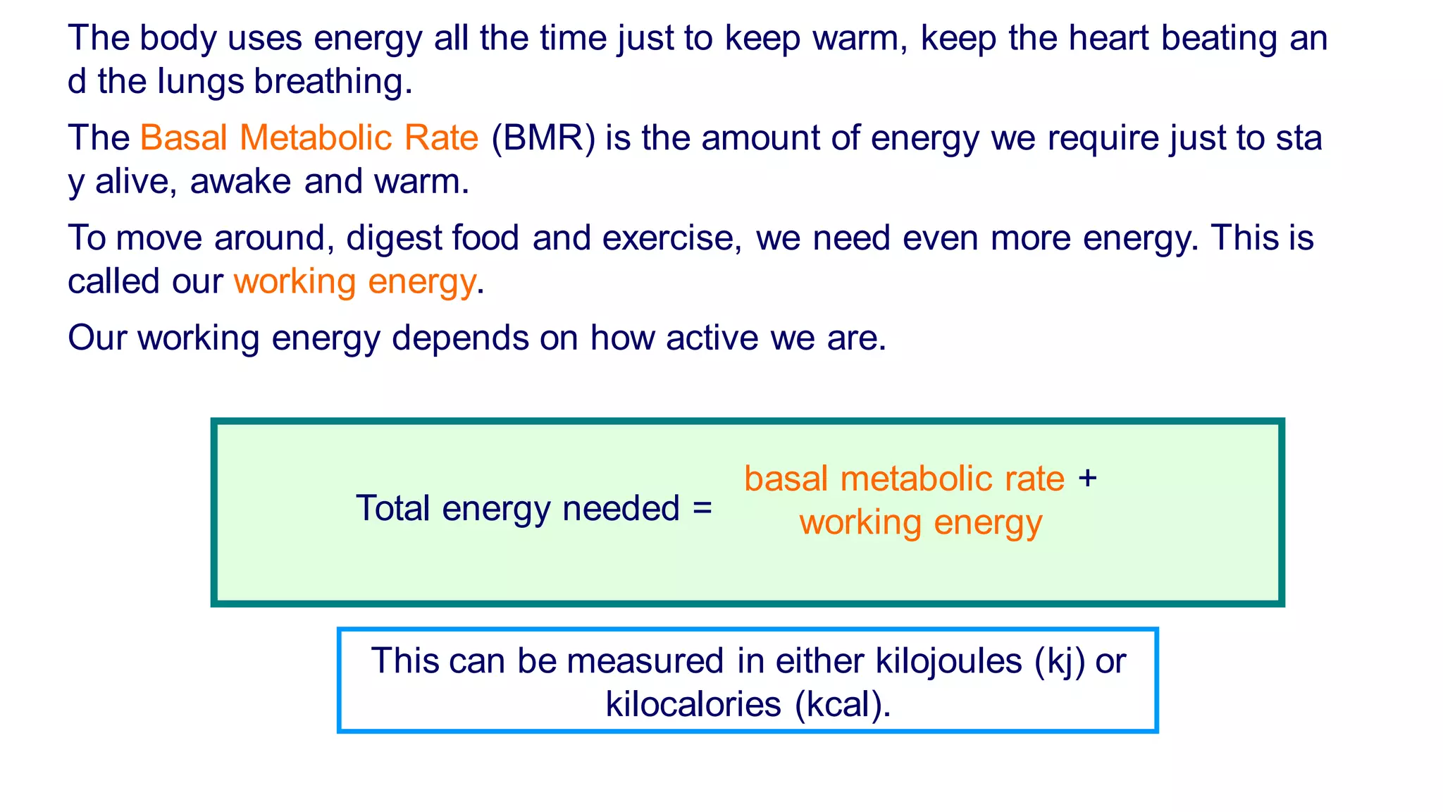 PHYSICAL EDUCATION 11 - Diet and Nutrition | PDF