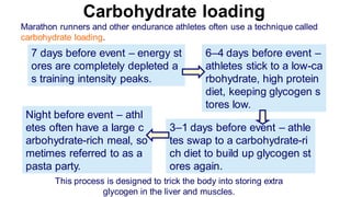 PHYSICAL EDUCATION 11 - Diet and Nutrition | PDF