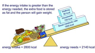 PHYSICAL EDUCATION 11 - Diet and Nutrition | PDF