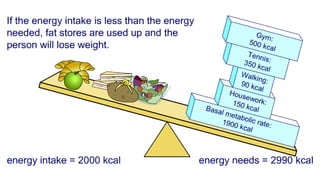 PHYSICAL EDUCATION 11 - Diet and Nutrition | PDF