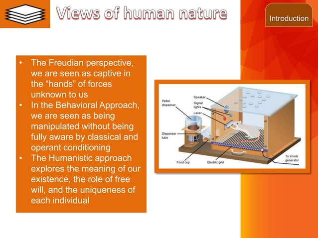 Happiness and Well-being | PPTX
