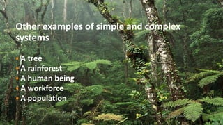 Wellbeing in complex legal systems | PPTX