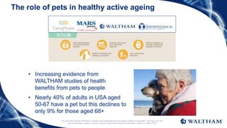 Paws for Thought: How pets help us lead healthy, active lives as we age ...