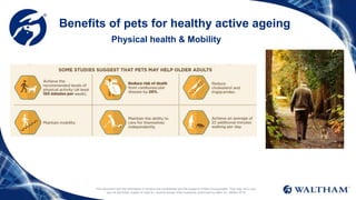 Paws for Thought: How pets help us lead healthy, active lives as we age ...
