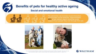 Paws for Thought: How pets help us lead healthy, active lives as we age ...