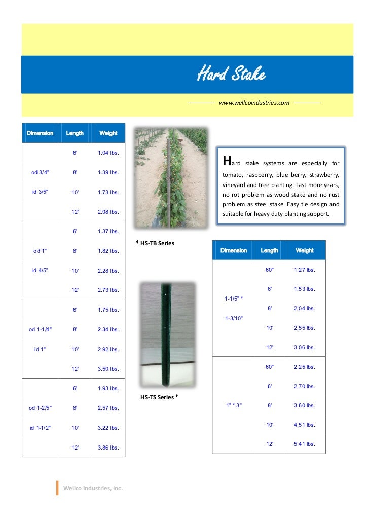 Raspberry Stake, Tree stake, Nursery Stake