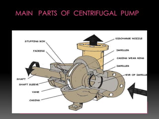 Suction modes and force mode pumps | PPT