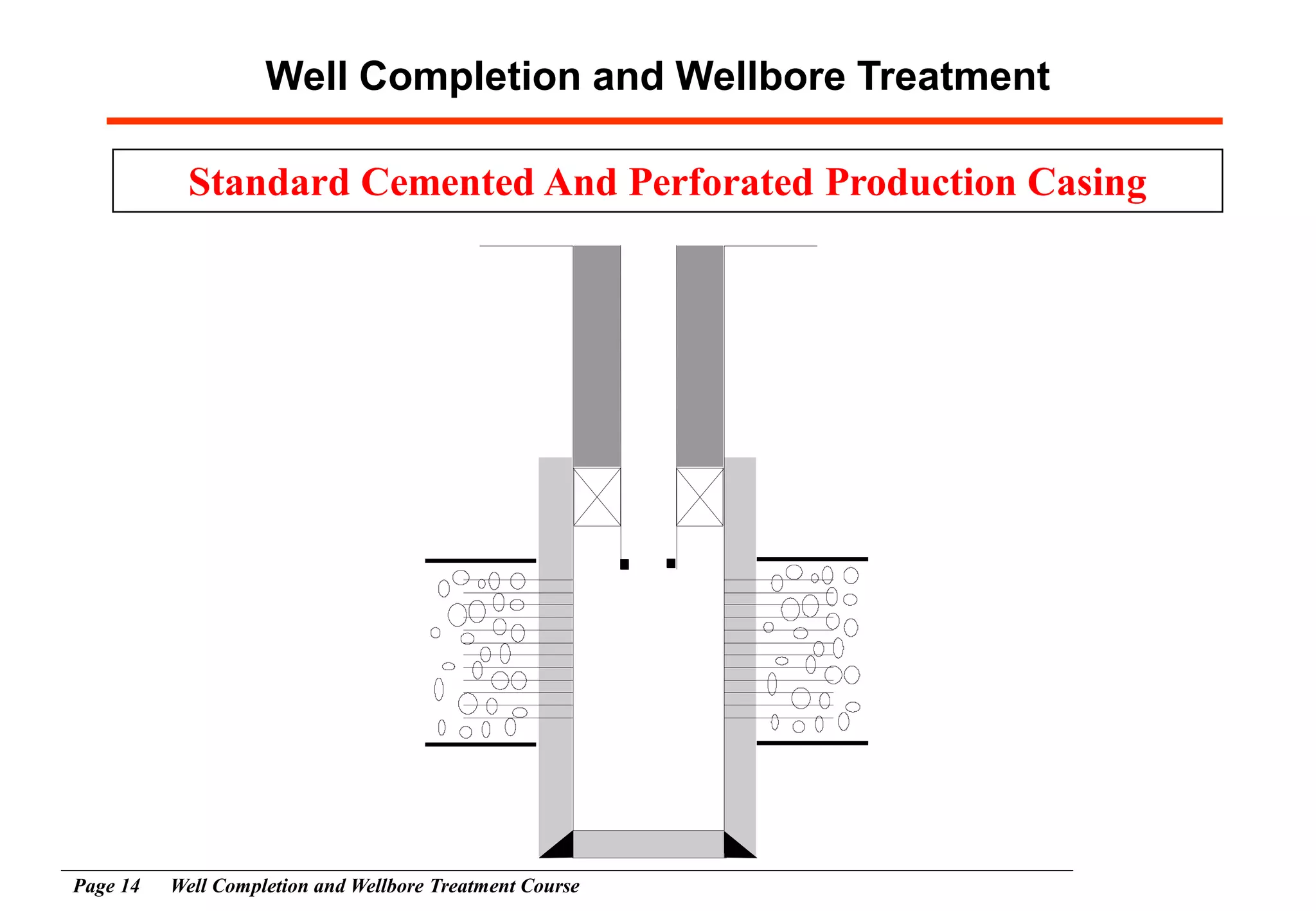 Well Completion Design.pdf