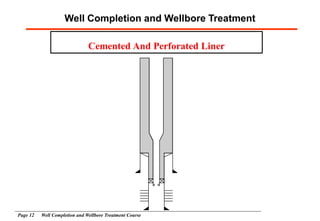 Well Completion Design.pdf
