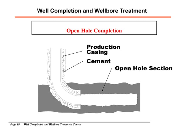 Well Completion Design.pdf
