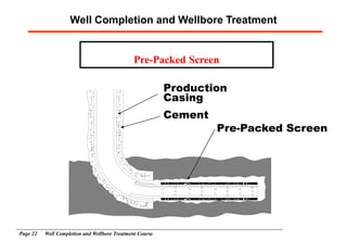 Well Completion Design.pdf