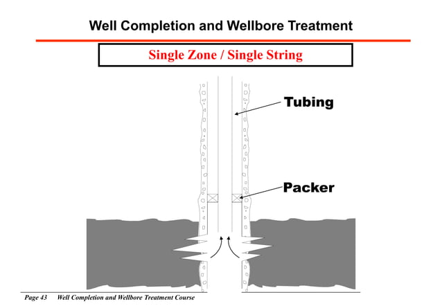 Well Completion Design.pdf