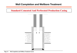 Well Completion Design.pdf