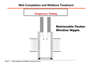 Well Completion Design.pdf