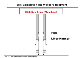Well Completion Design.pdf
