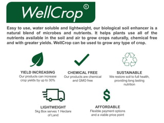 Well crop powerpoint presentation | PPTX