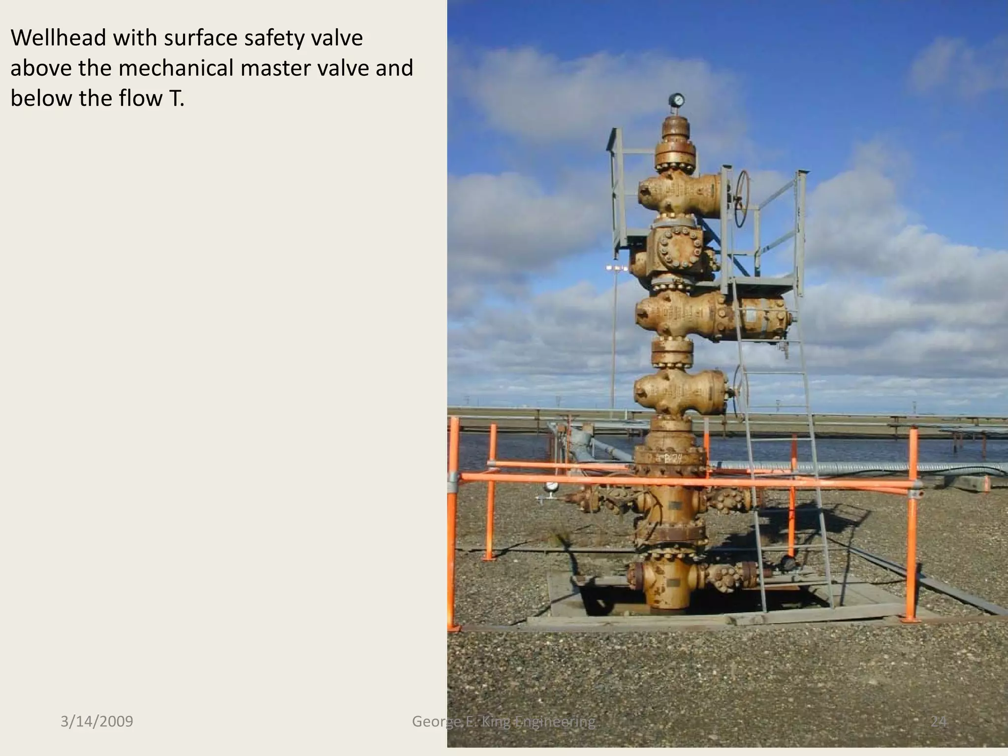 Wellhead basics | PDF