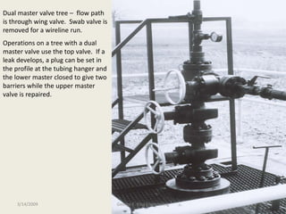 Wellhead basics | PDF