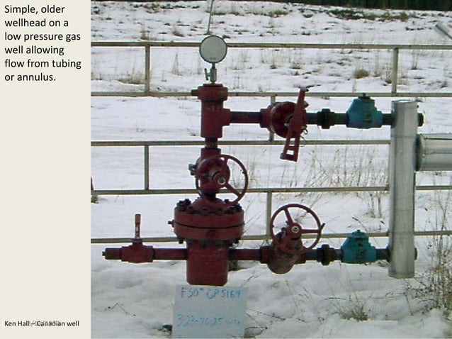 Wellhead basics | PDF