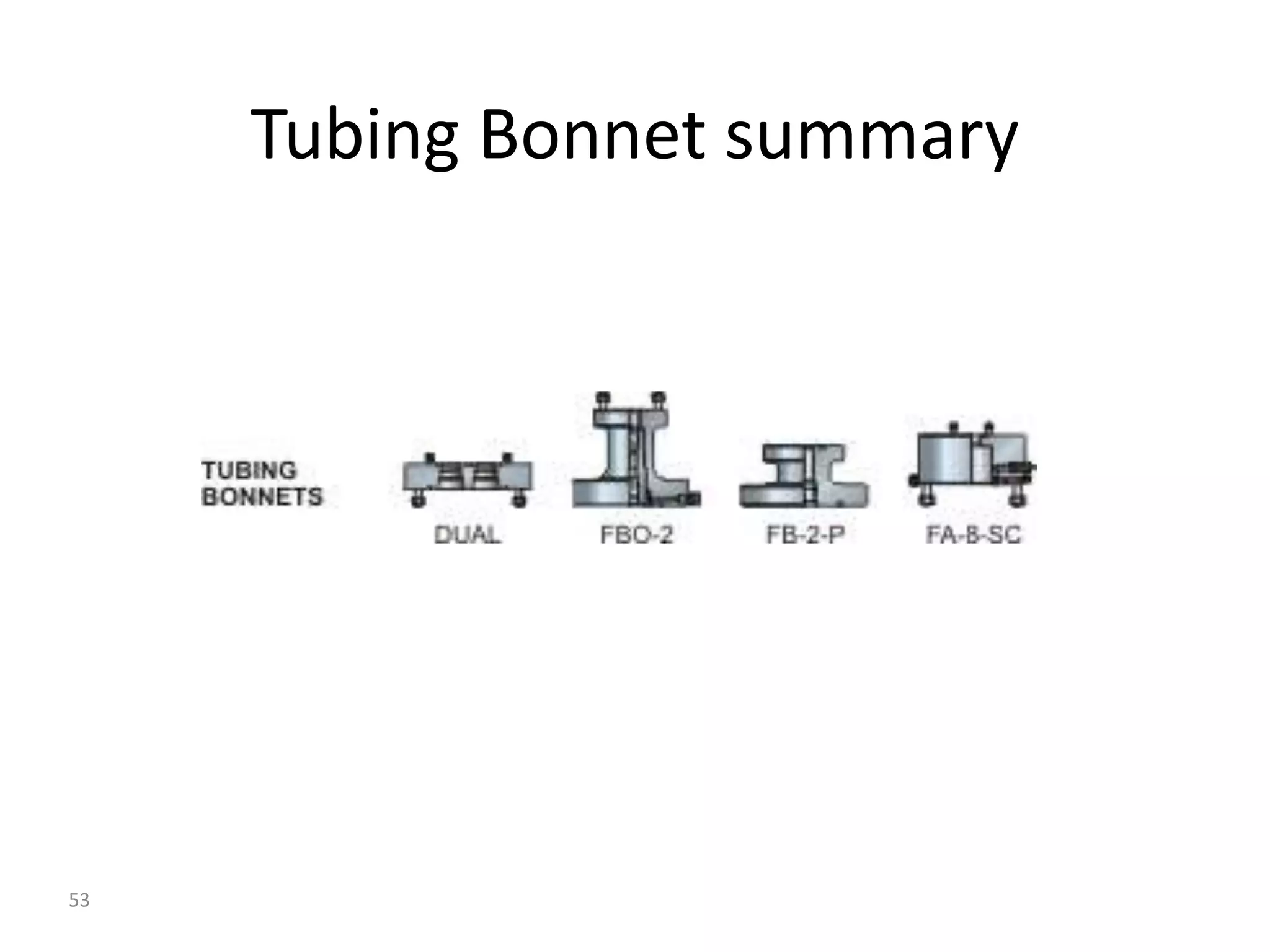 WELLHEAD FOR OIL AND GAS WELL.pptx
