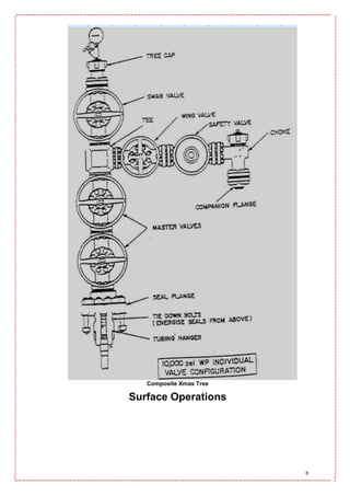 Wellheads and Flow Lines.pdf