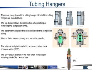 Back Pressure Valves For Tubing Hanger