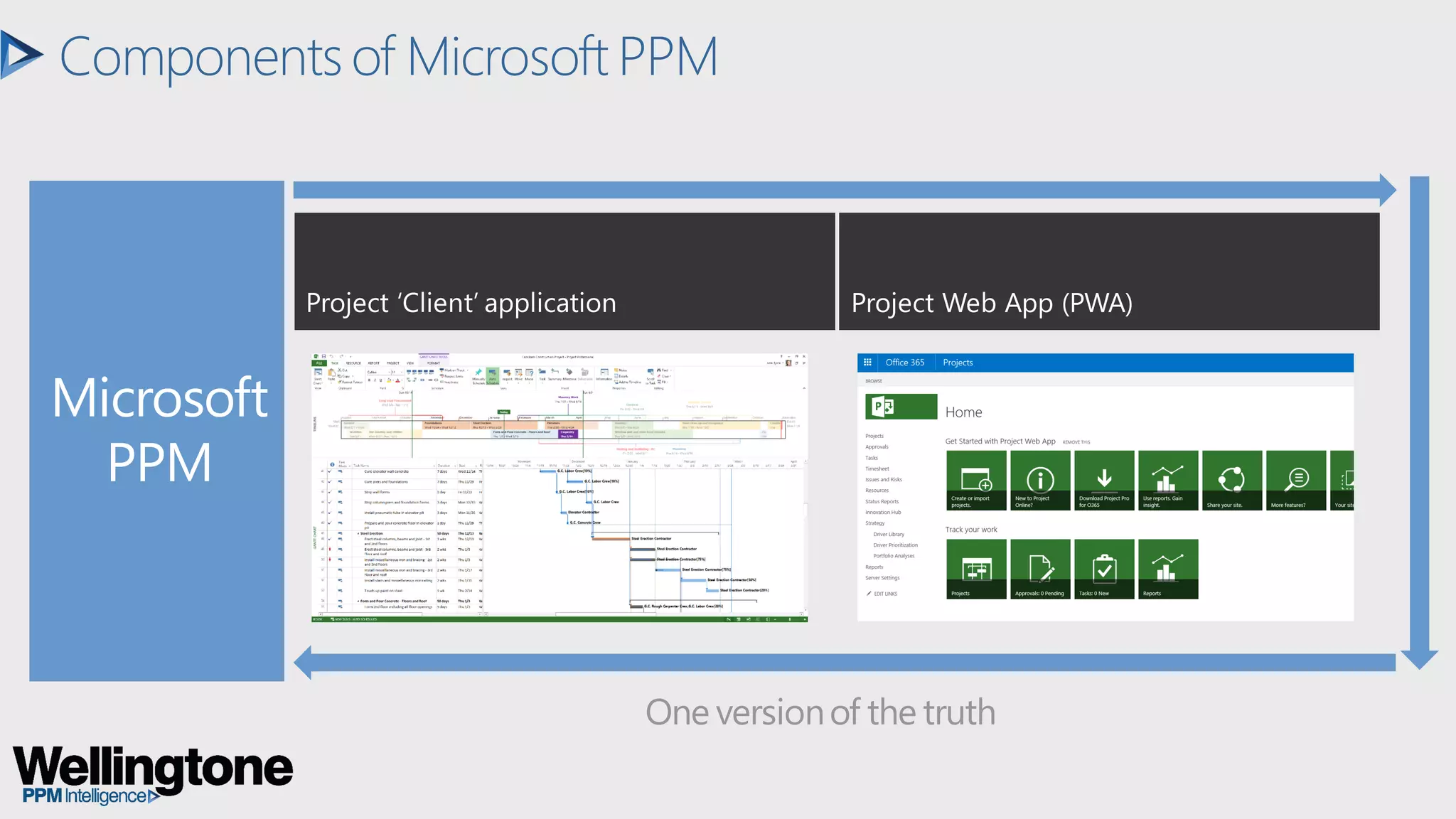 Wellingtone | Showcase of Microsoft PPM – the Tool of the Future PMO ...
