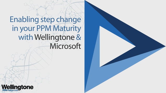 Enabling Step Change in your PPM Maturity | Wellingtone PPM | PDF ...