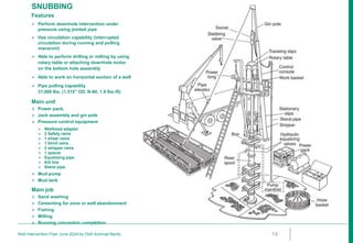 well Intervention operation in oil and gas sector | PDF