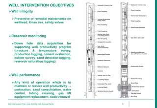 well Intervention operation in oil and gas sector | PDF