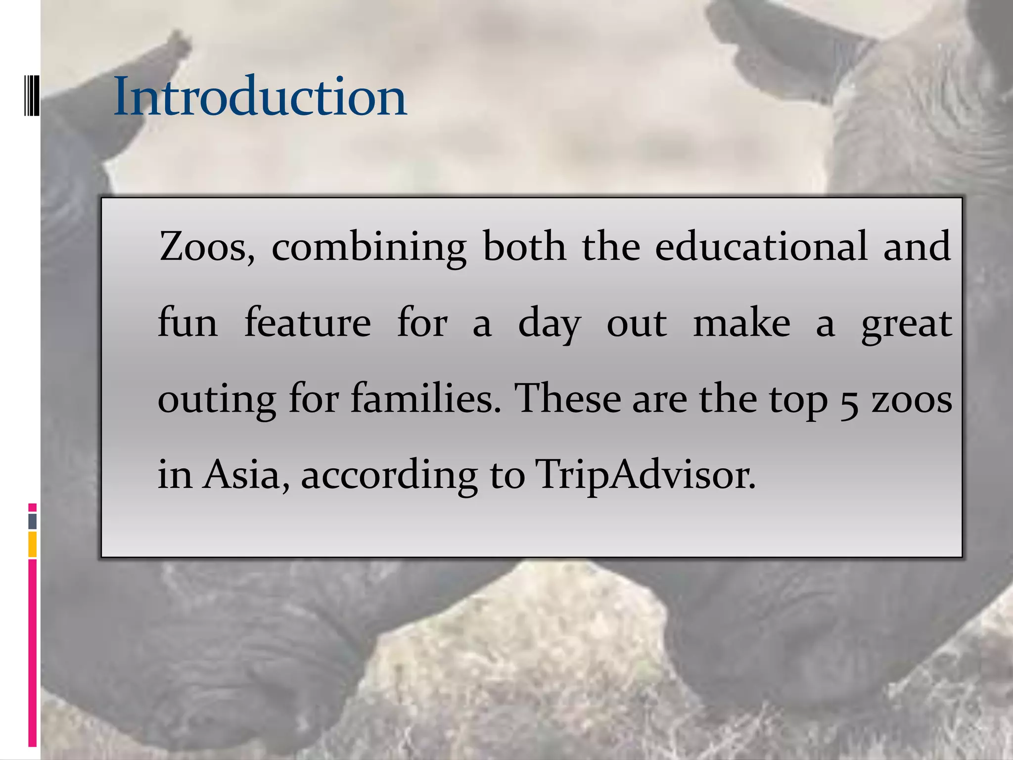 Best Zoos in Asia | PPTX | Asia Travel | Travel Locations