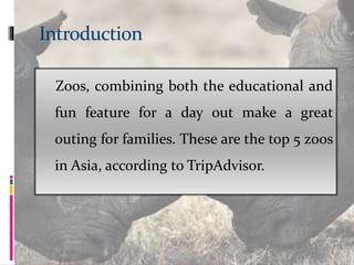 Best Zoos in Asia | PPTX