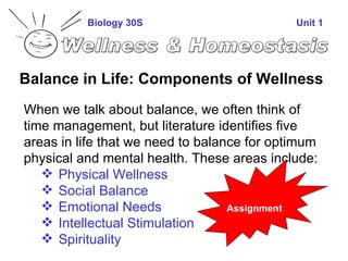 Wellness | PPT